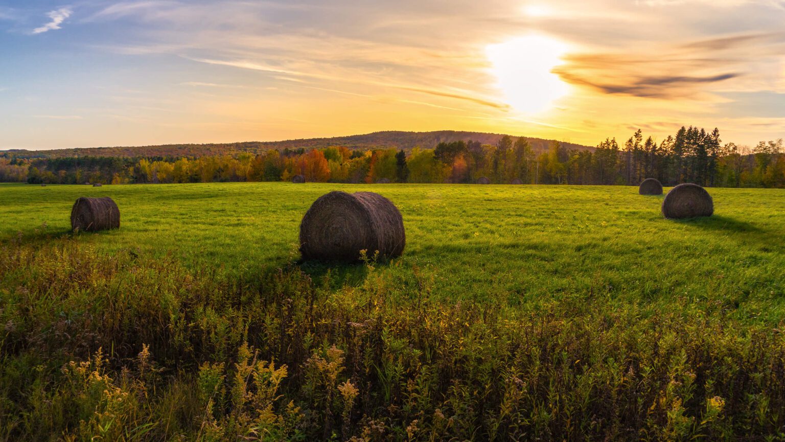 Mission and Vision - Rusk County Community Foundation